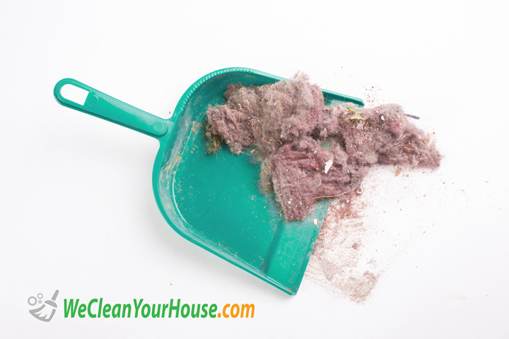 Expert Tips for a Cleaner Home | We Clean Your House